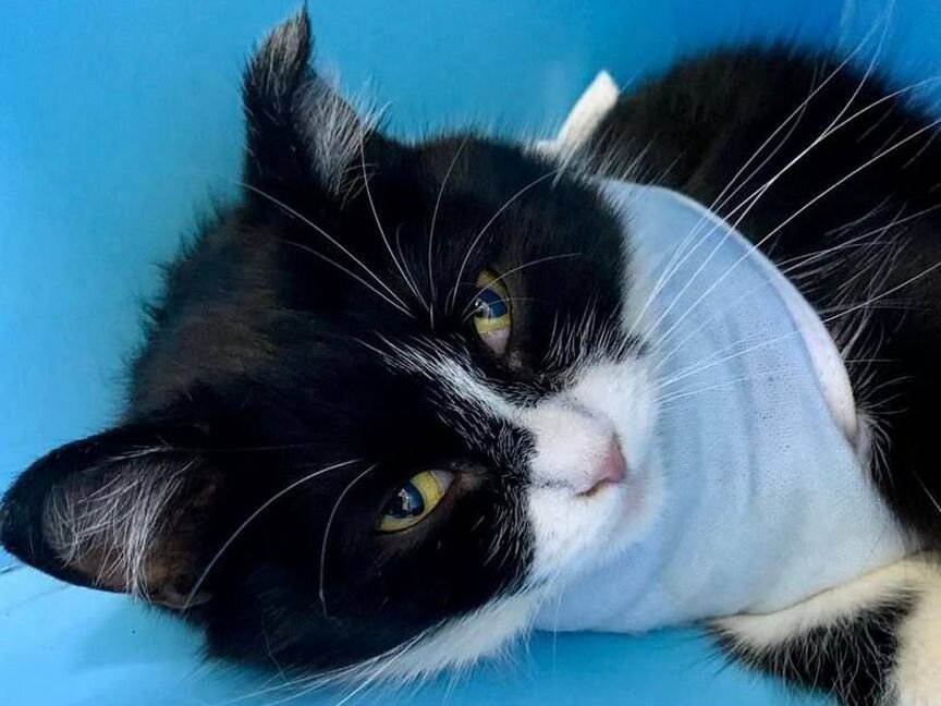 1 сутки на поиск дома.Возможно ли сотворить чудо