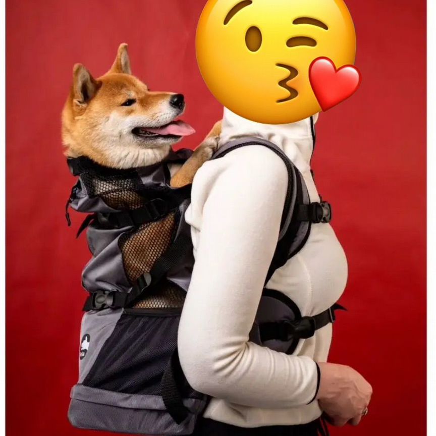 Рюкзак для собак