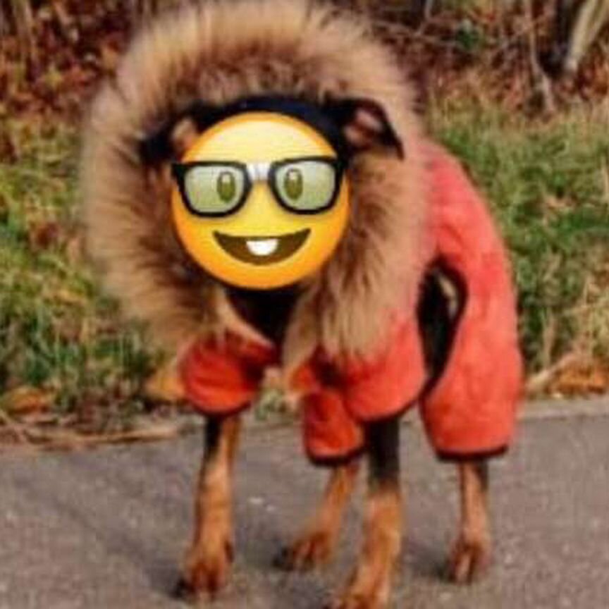 Комбинезон утеплённый для собак