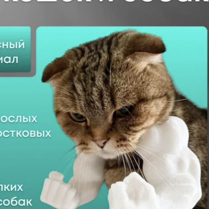 Руки-бицухи для кота или маленькой собаки