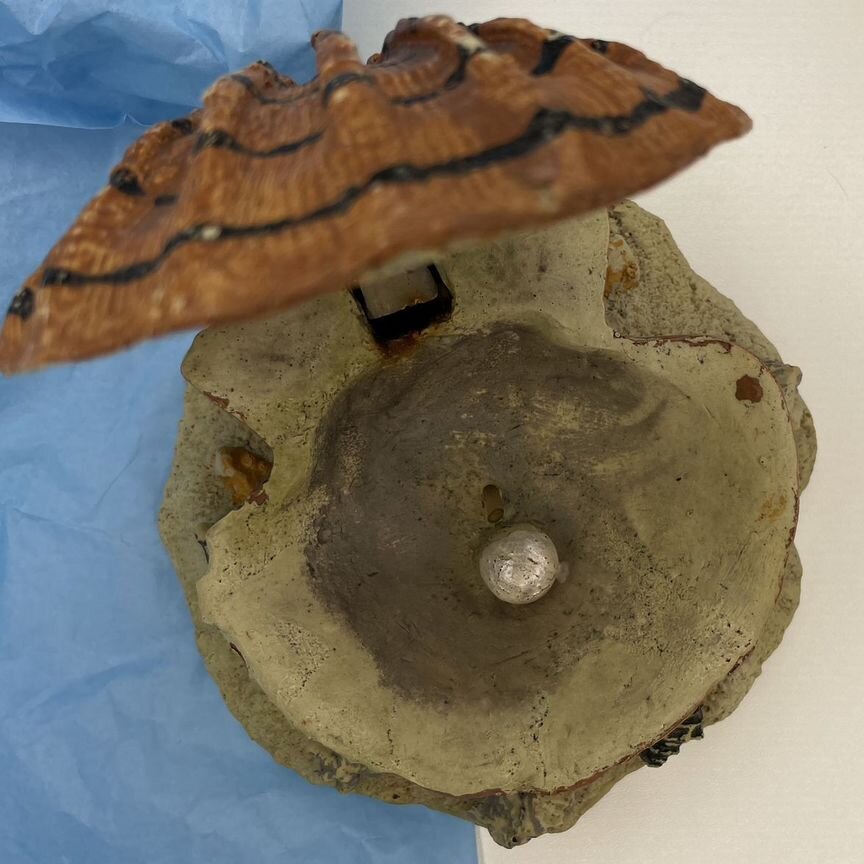 Декор ракушка в аквариум