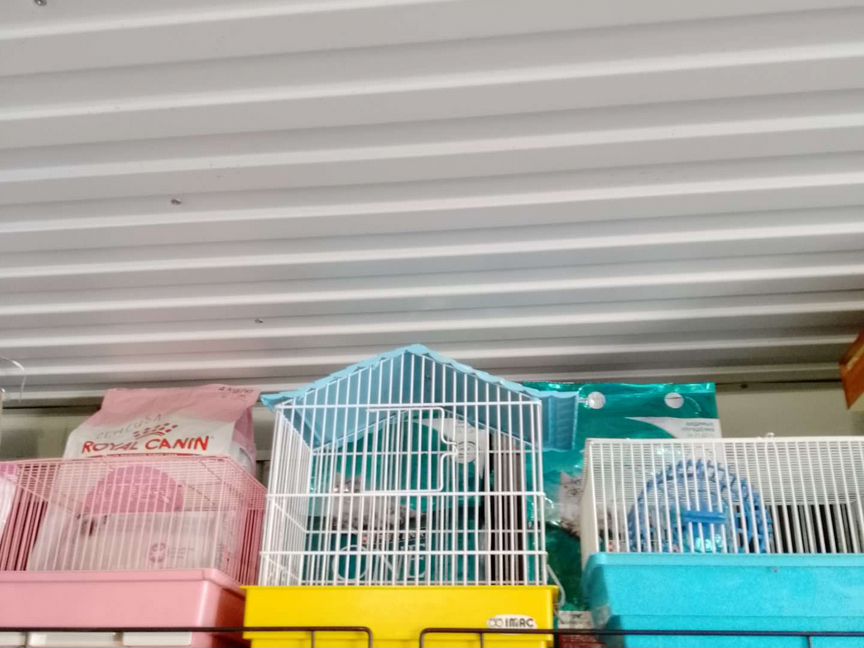 Клетки для грызунов б/у разные