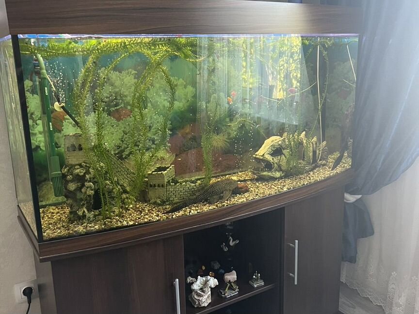 Аквариум