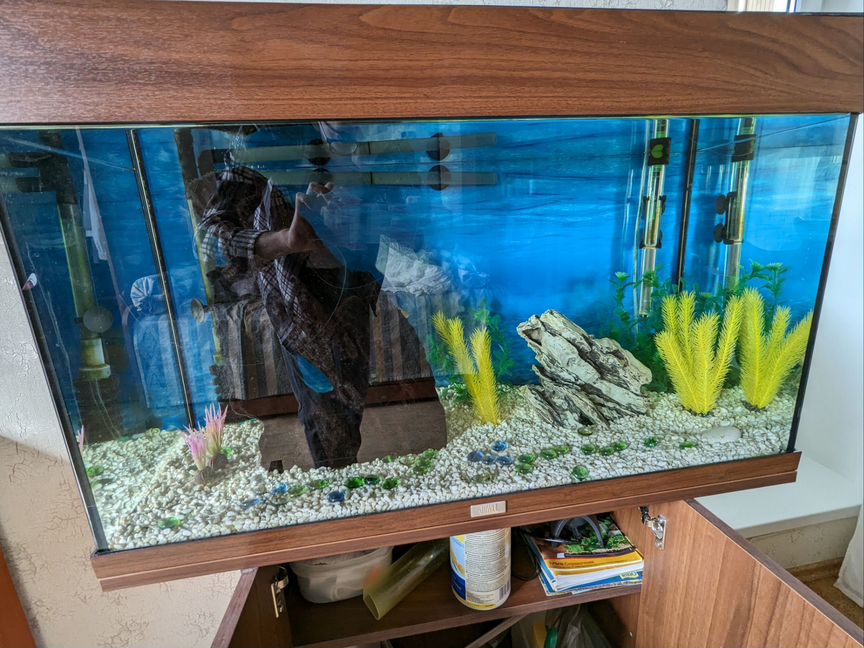 Аквариум с рыбками