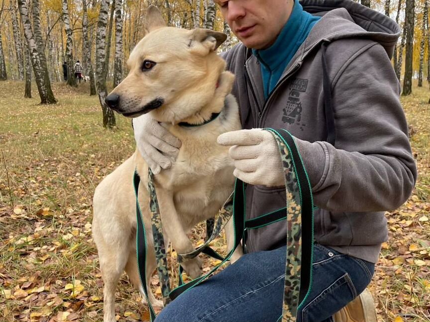 Добрая Белоснежка ищет семью