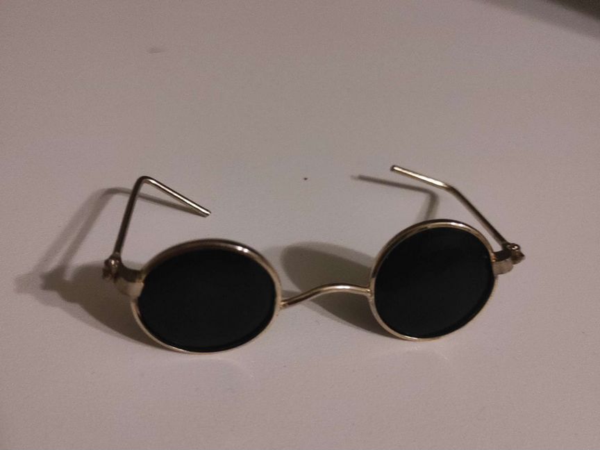 Очки для кота