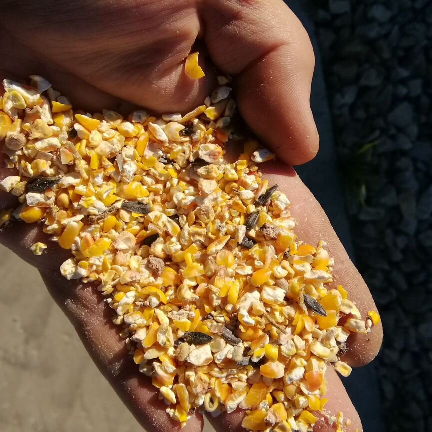 Отходы кукурузы