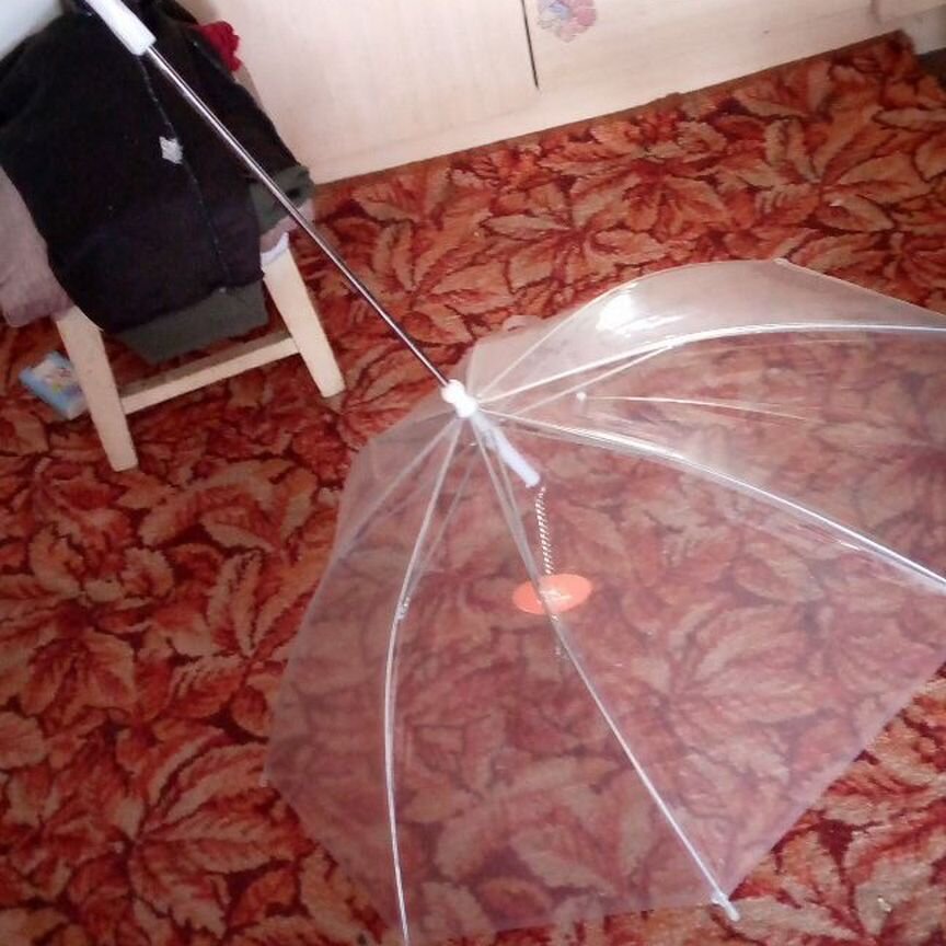 Зонт для собаки