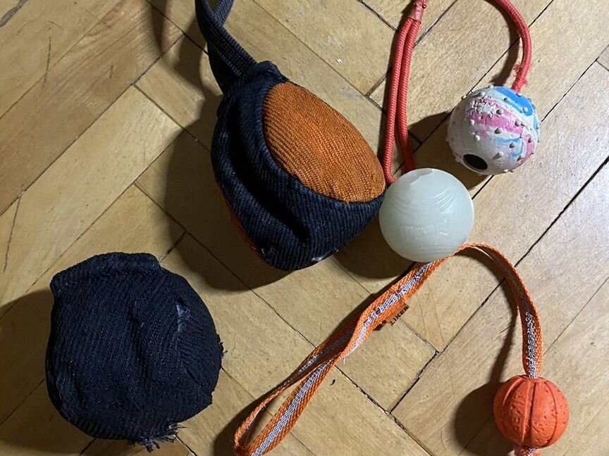 Игрушки для собак