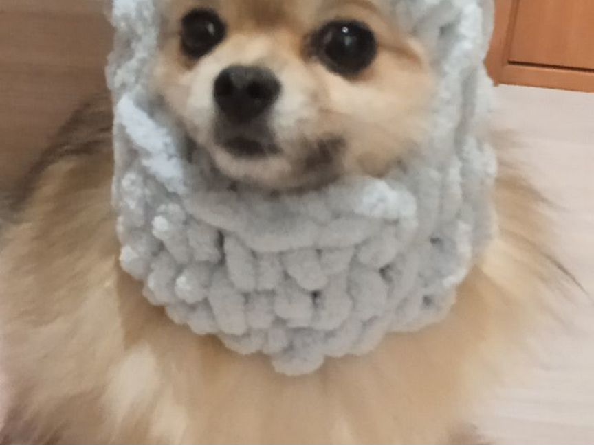 Плюшевая балаклава для питомца