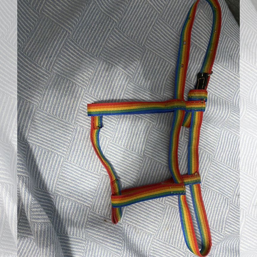 Недоуздок для пони