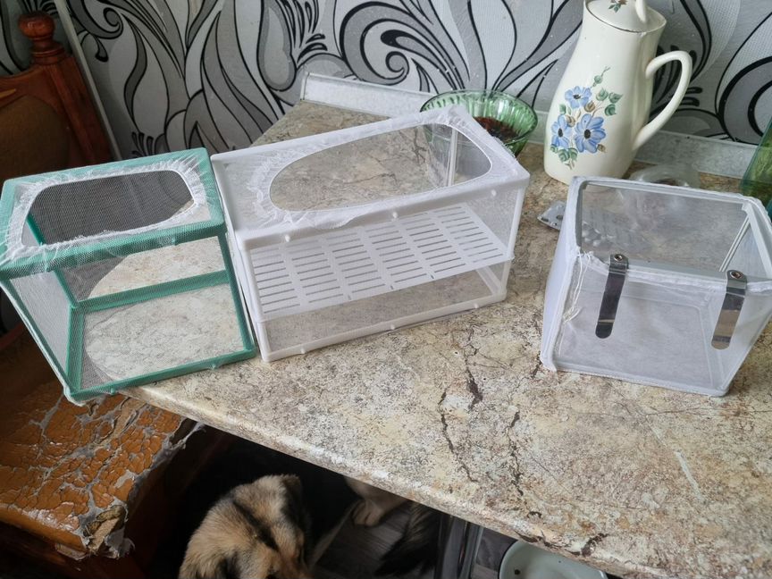 Отсадники для рыб