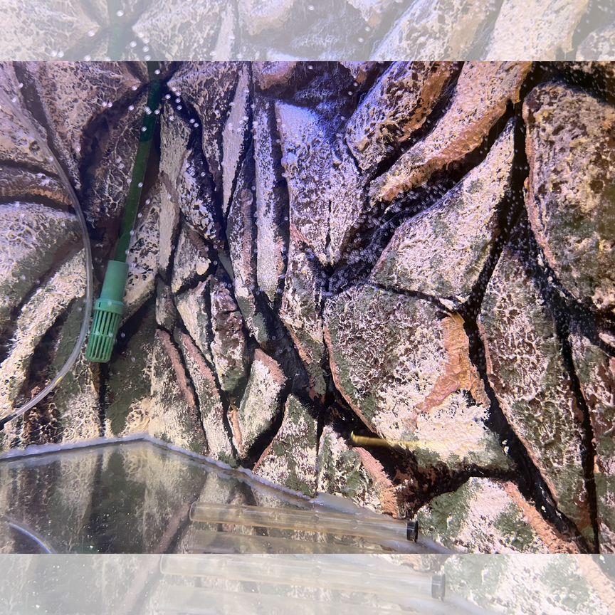 Иготовление 3Д фона в аквариум / террариум