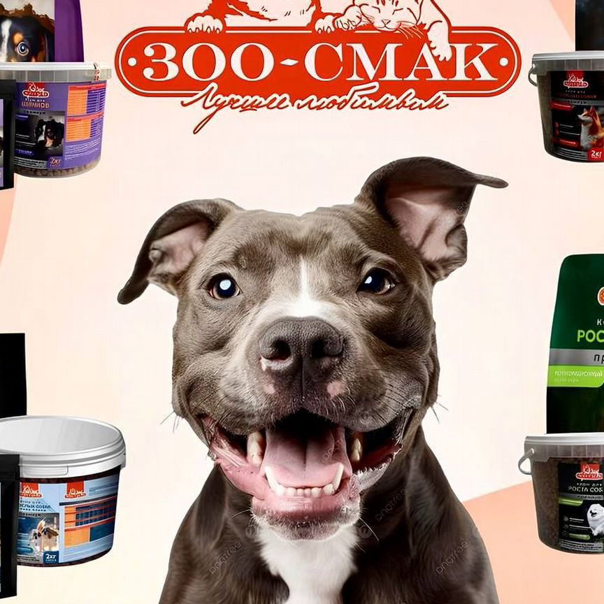 Сухой корм для собак / опт