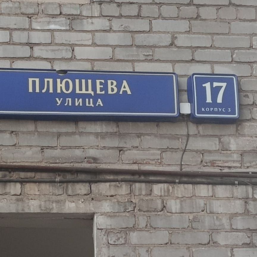 Коты в беде