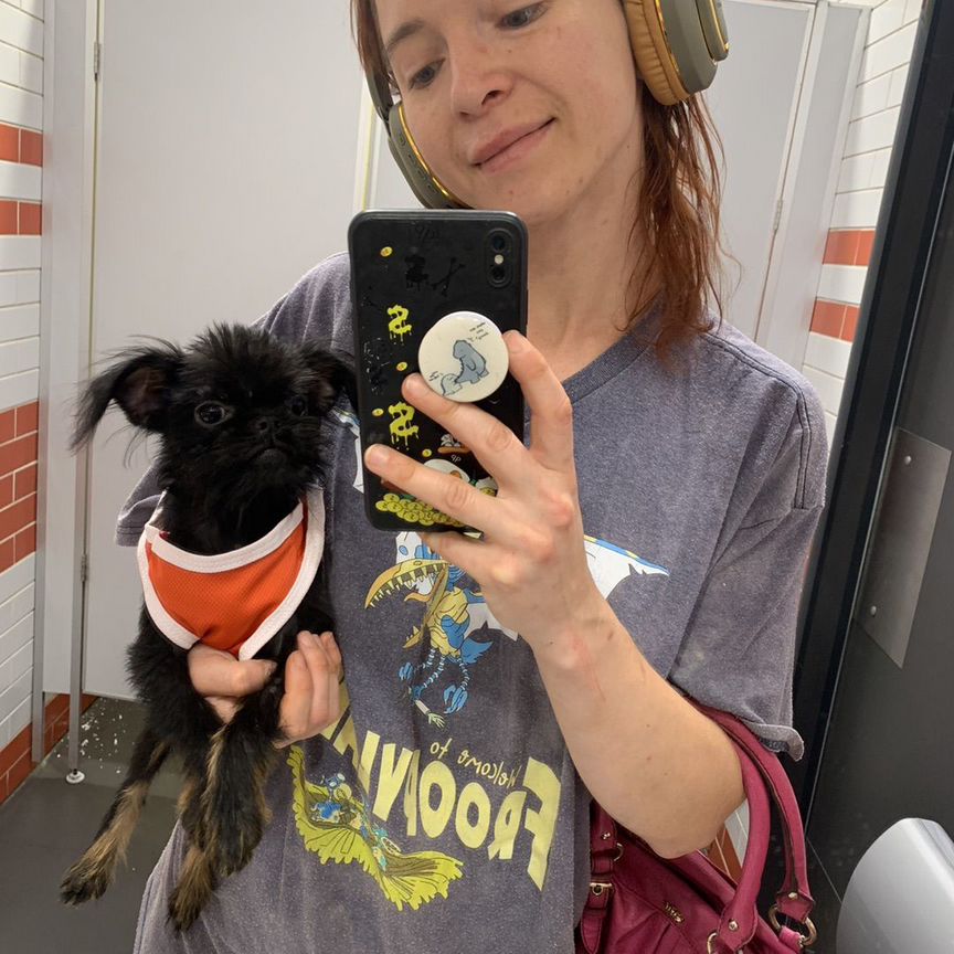 Гриффон мишенька ждет хозяина