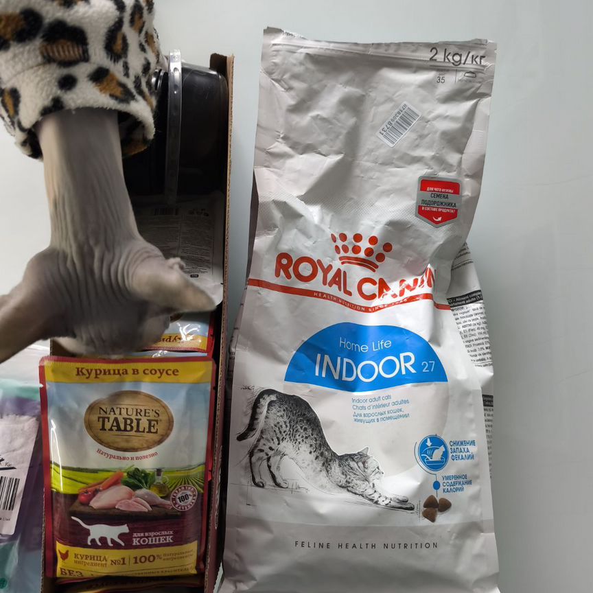 Корм для кошек royal canin indoor