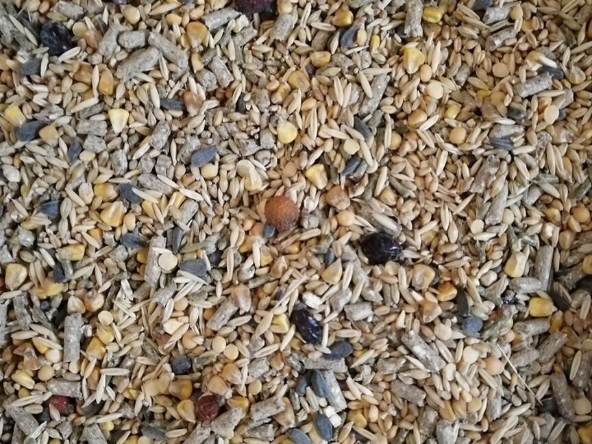 Корм для разных грызунов