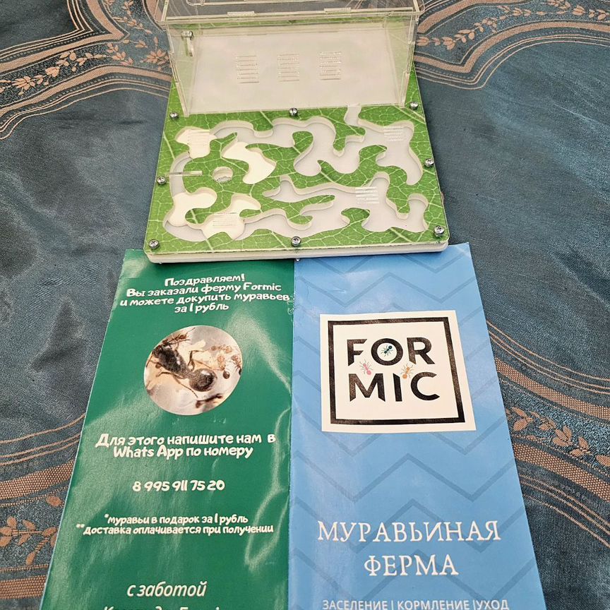 Муравьиная ферма formic
