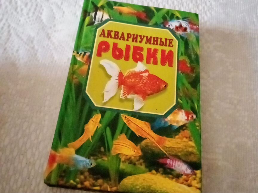 Аквариумные рыбки.2003 год