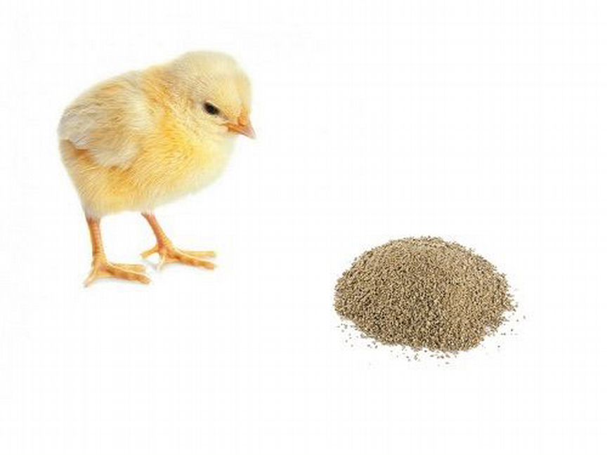 Корм стартовый для цыплят, утят, гусят