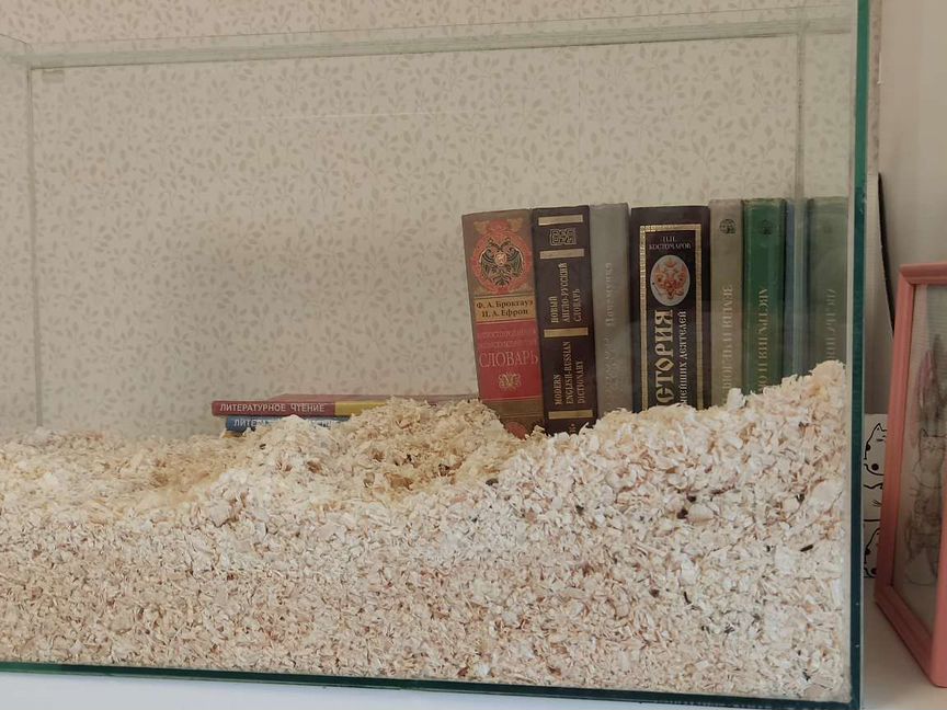 Аквариум для хомяка