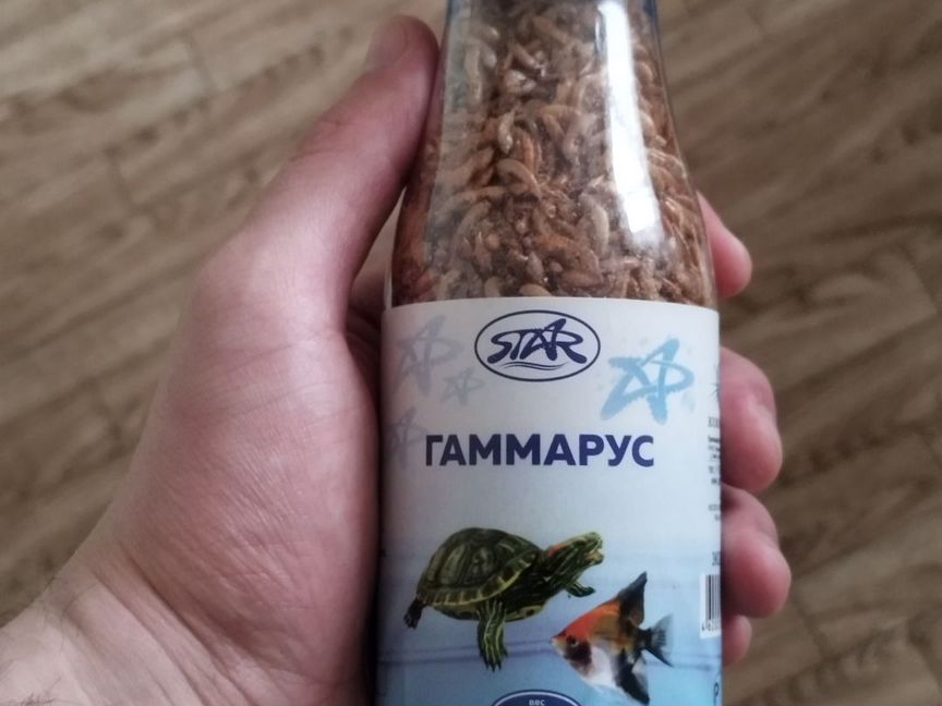 Корм для черепах