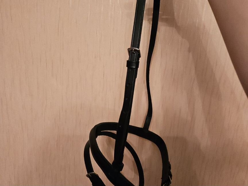 Капсуль для лошади новый