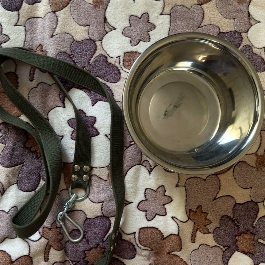 Поводок для собак