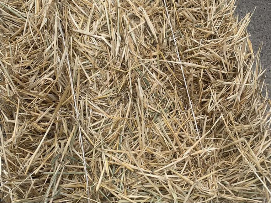 Солома в тюках ячменная и сено луговое