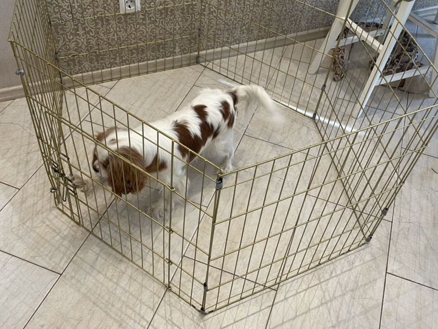 Вольер для собак