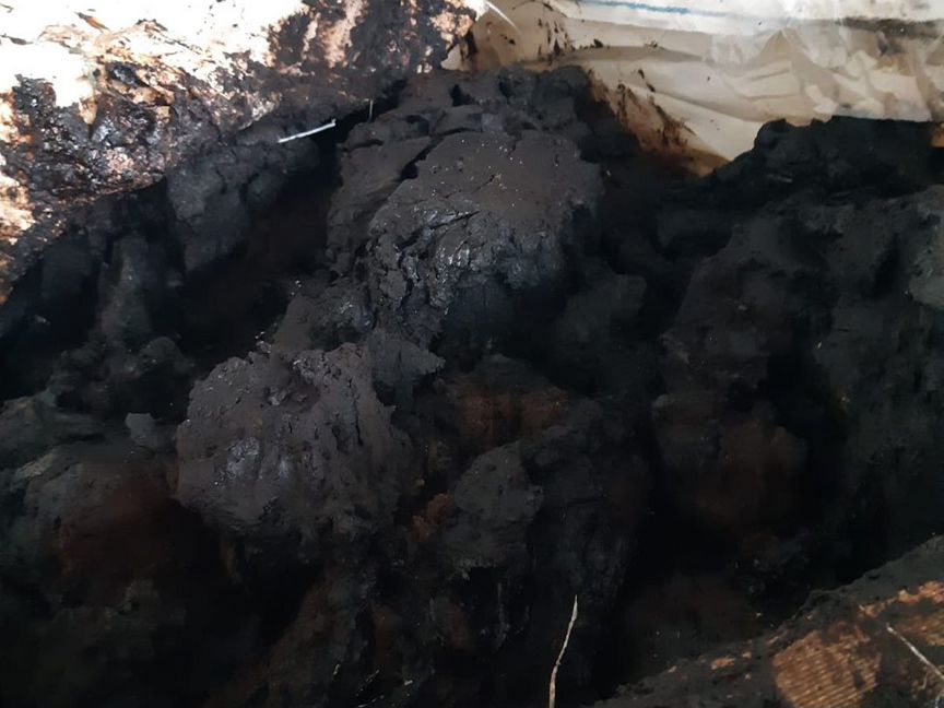 Фуз рапсовый