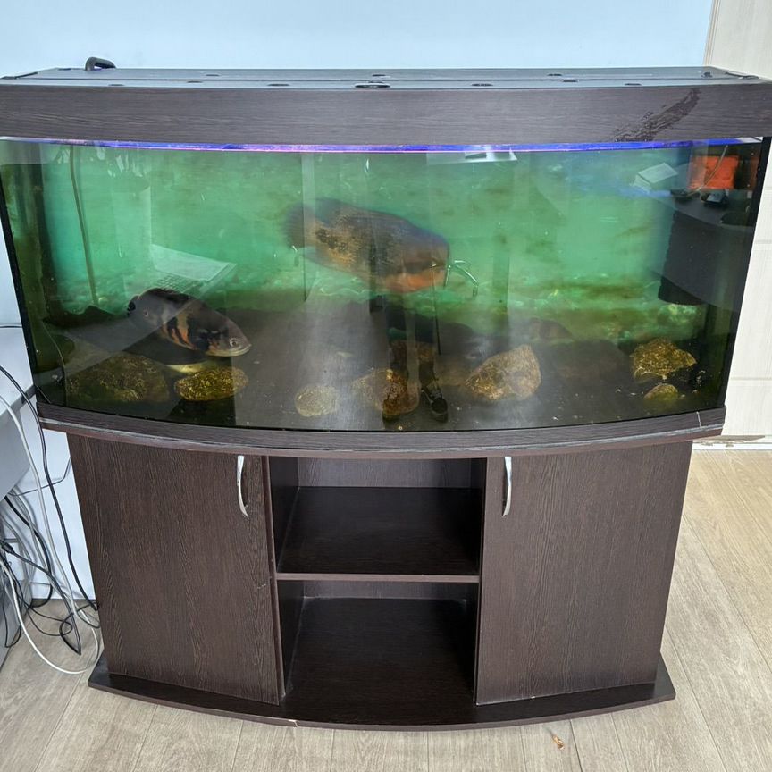 Аквариум с рыбками