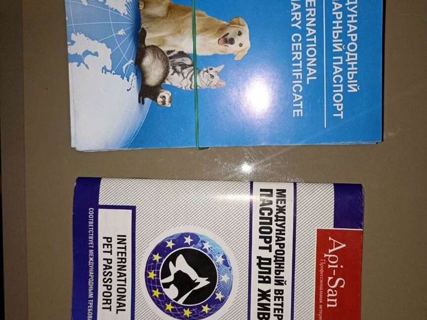 Международный ветеринарный паспорт