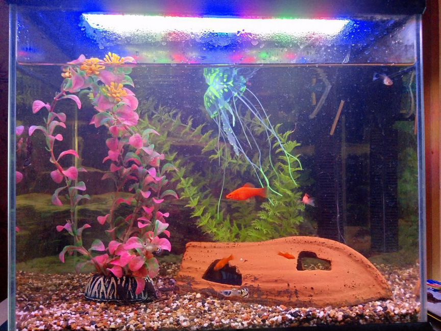 Аквариум с рыбками 35 литров