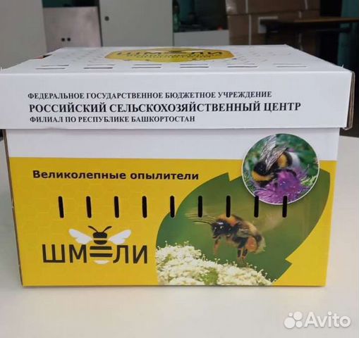 Шмели для опыления