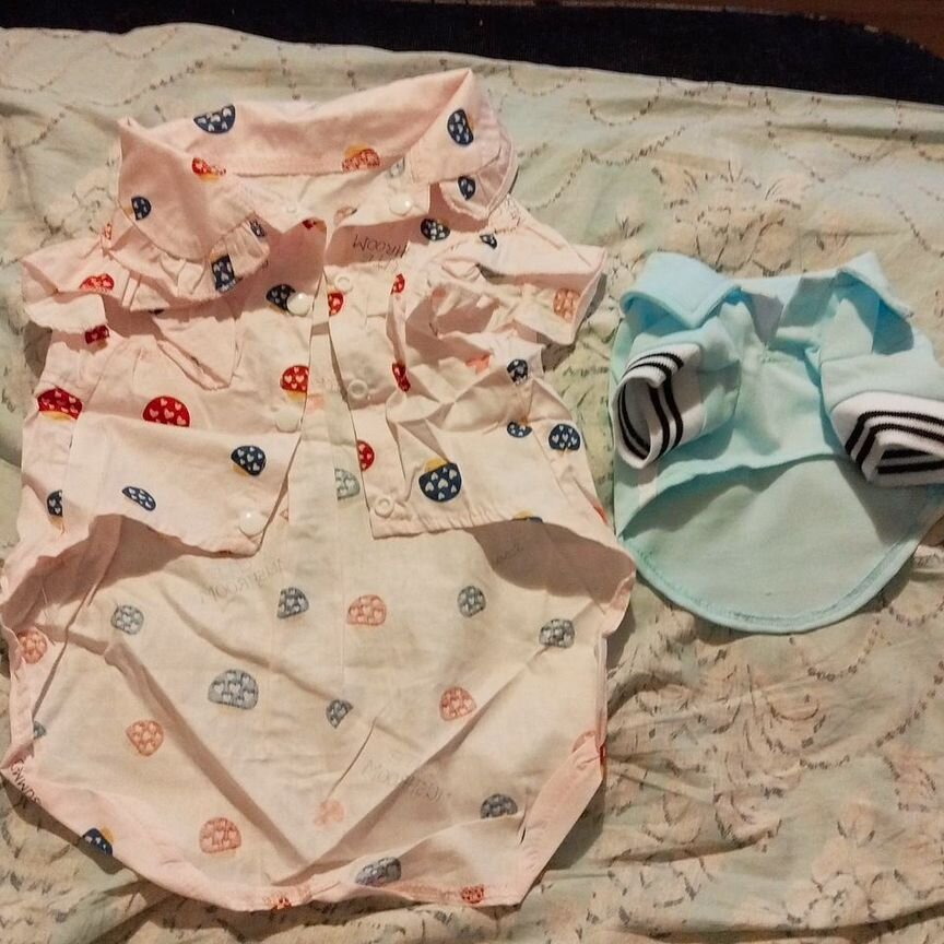 Одежда для собак и кошек