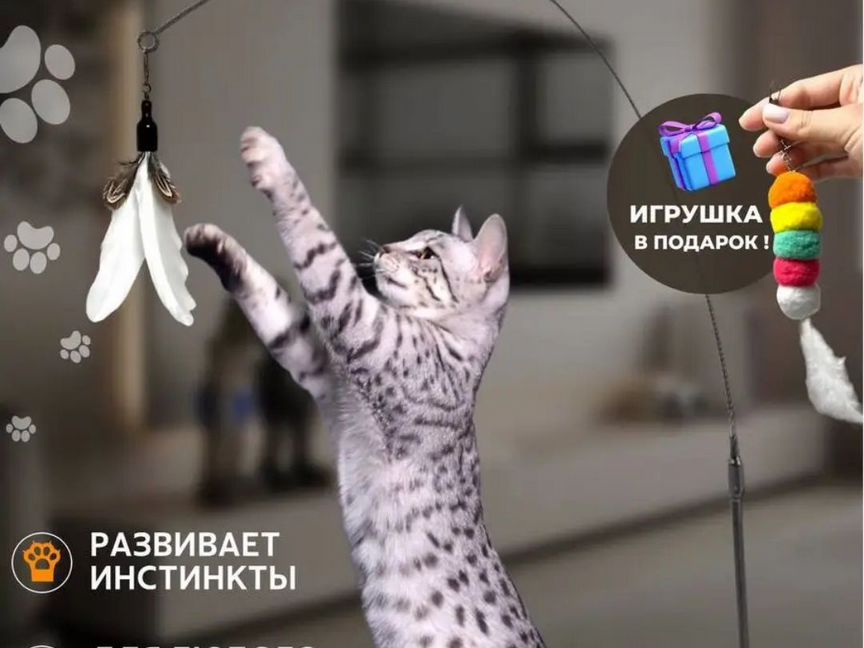 Игрушка для кошек. Новая