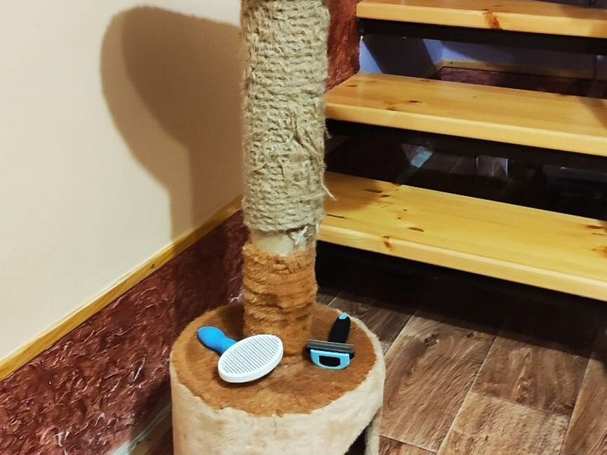 Когтеточка домик для кошки бу