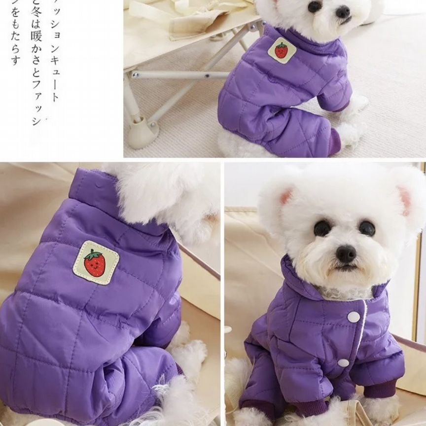 Одежда для собак