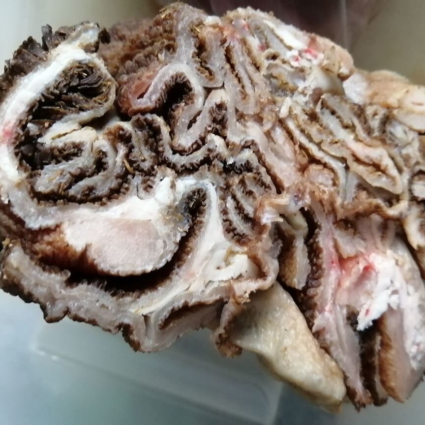 Рубец бараний