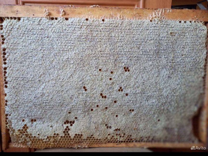 Сотовый мед