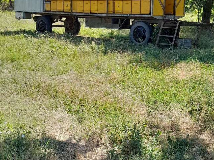 Пчеловодство