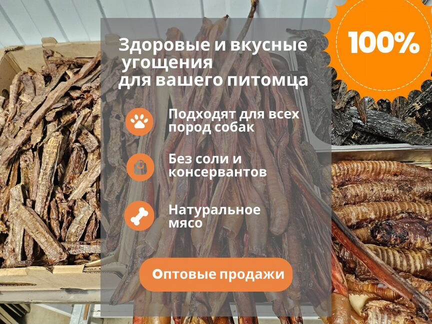 Лакомства для собак оптом