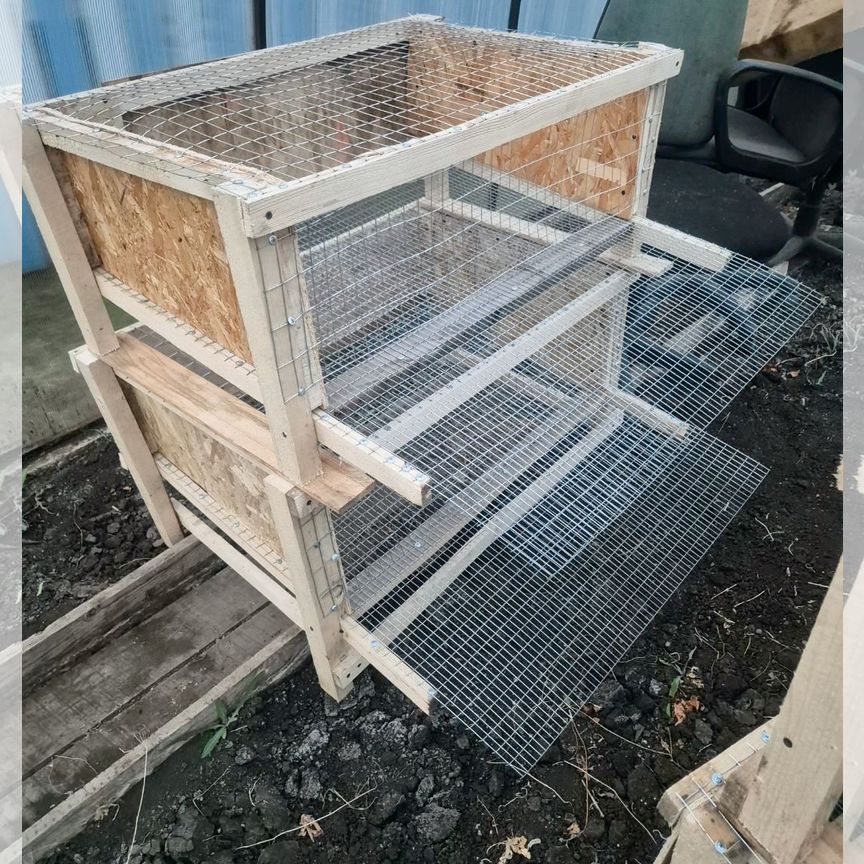 Клетка для перепелок