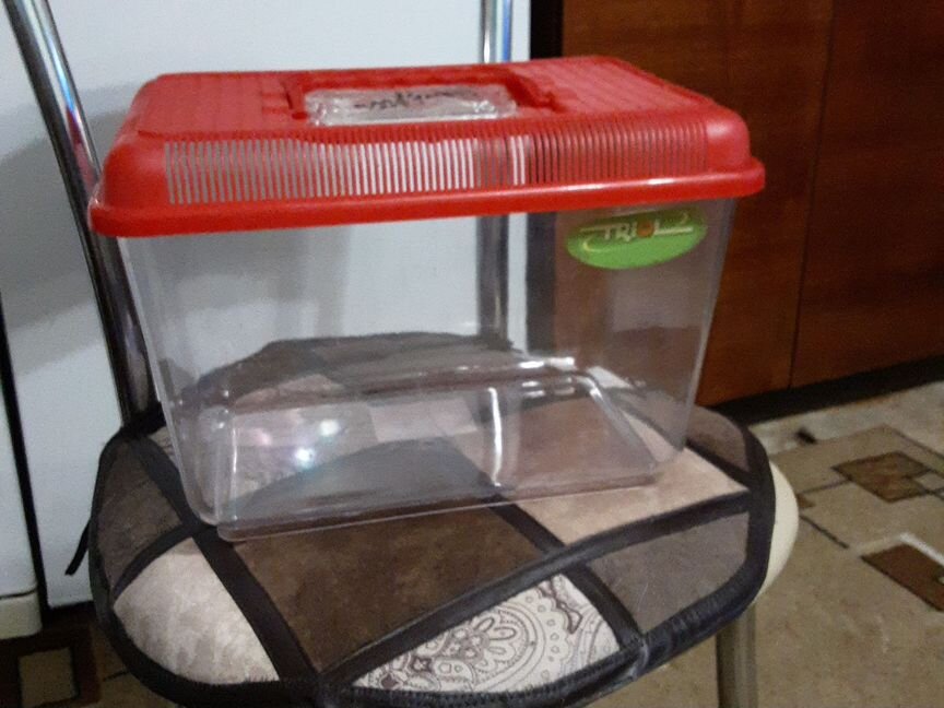 Террариум- переноска