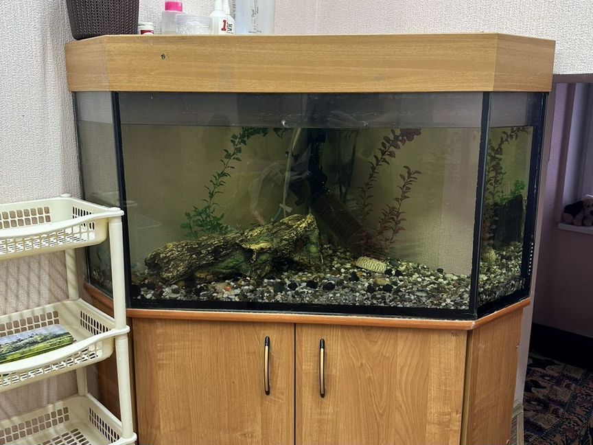 Аквариум с тумбой угловой