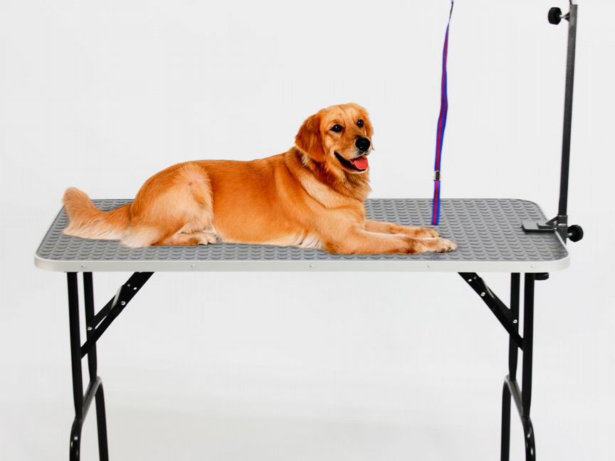 Стол для груминга wikigroom s1 120 х 60 см