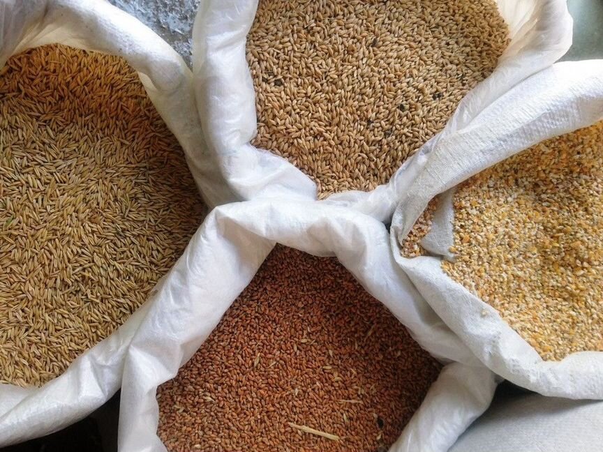 Корм для крс, птиц и других животных опт