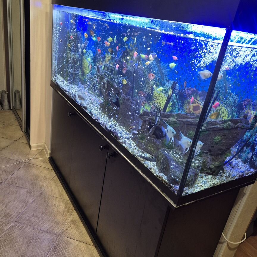 Аквариум на 500 литров